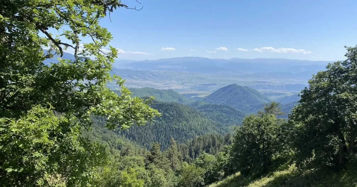 Black Trail Likani Sad in Tbilisi ᐉ Events Schedule | YOLO | Yolo